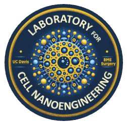 As Professionals | The Laboratory for Cell Nanoengineering